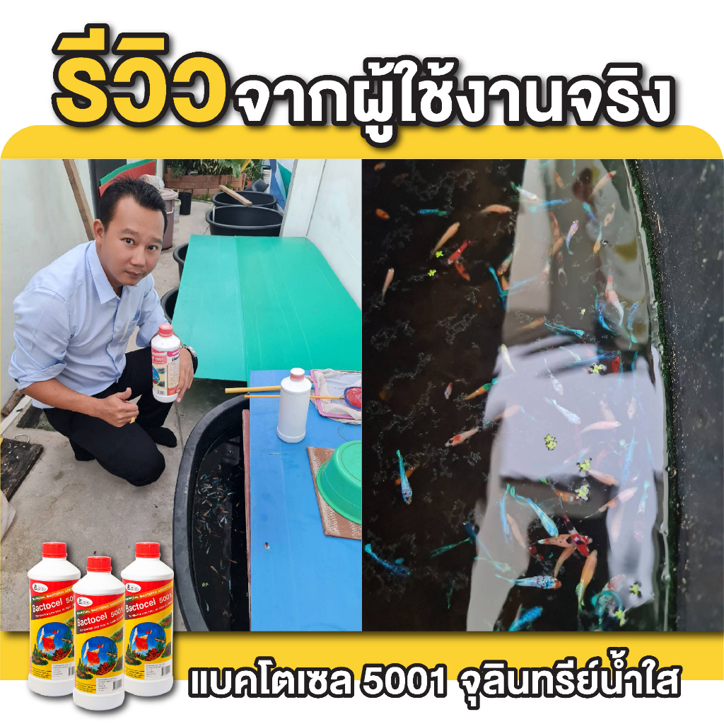 BACTOCEL 5001 12ขวด น้ำยาดับกลิ่น รักษาสภาพน้ำ ในบ่อปลา แบคโตเซล 5001 ...