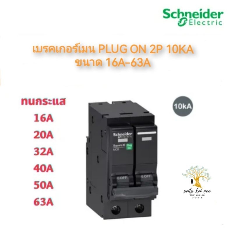 Schneider เบรกเกอร์เมน MCB Plug On 2P 10kA ขนาด 16A 20A 32A 40A 50A 63A ...