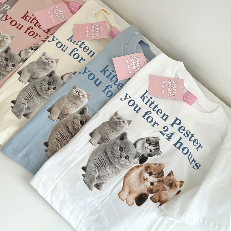 Sugarbeetshop | S262 CROP Kitten pester you for 24 hours 🤍 เสื้อครอปผ้า ...
