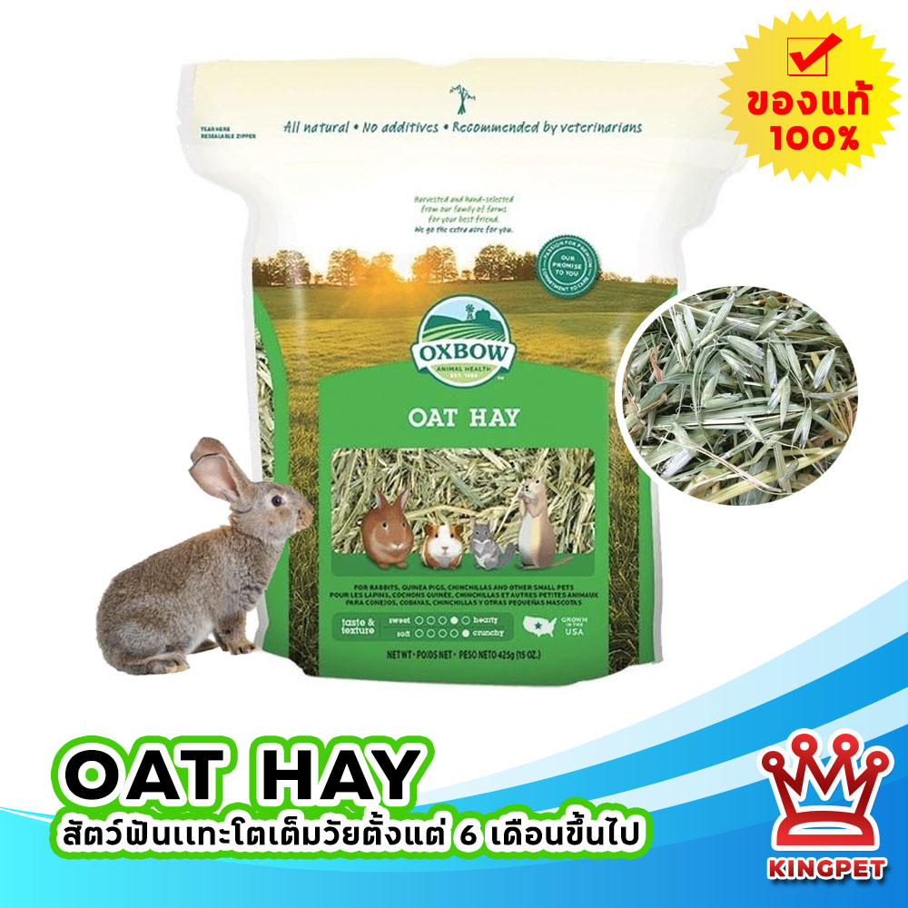 OXBOW OAT HAY หญ้าโอ๊ต สำหรับกระต่าย 425 กรัม | Shopee Thailand