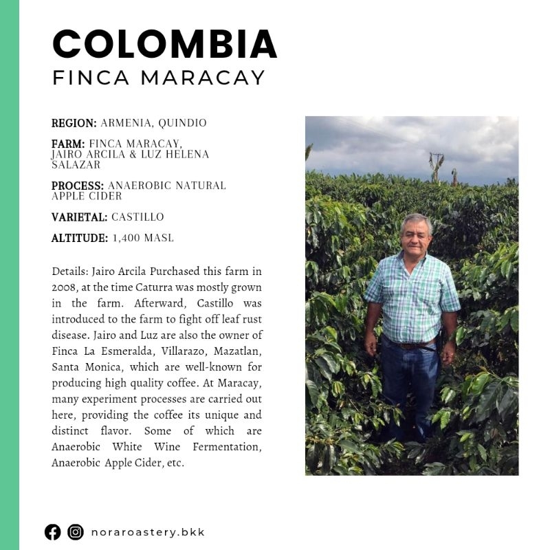 Colombia Finca Maracay Anaerobic Natural Apple Cider เมล็ดกาแฟคั่ว ...