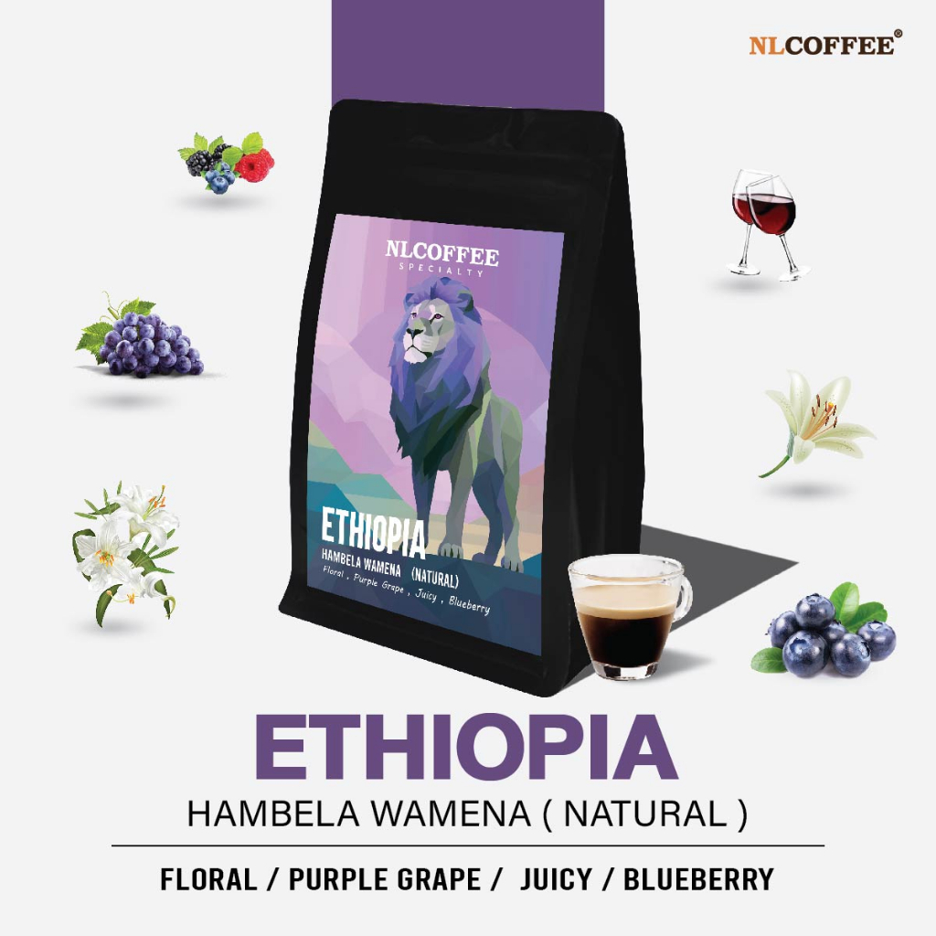 NLCOFFEE SPECIALTY เมล็ดกาแฟ Ethiopia Hambela , Guji (Natural) 250กรัม | Shopee Thailand