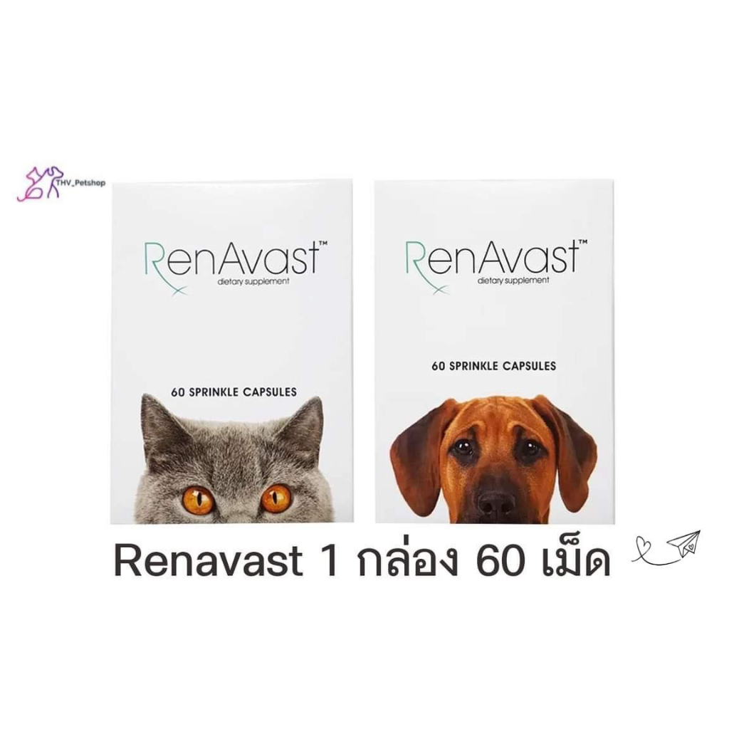 Renavast Dog&Cat อาหารเสริมบำรุงไต สำหรับ สุนัขและแมว 1 กล่องบรรจุ 60 ...
