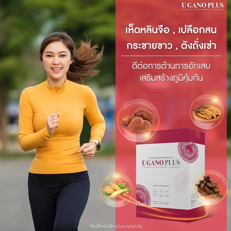 U Gano Plus ยูกาโน่ พลัส ของแท้100%เพิ่มภูมิคุ้มกัน บำรุงระบบประสาท ...