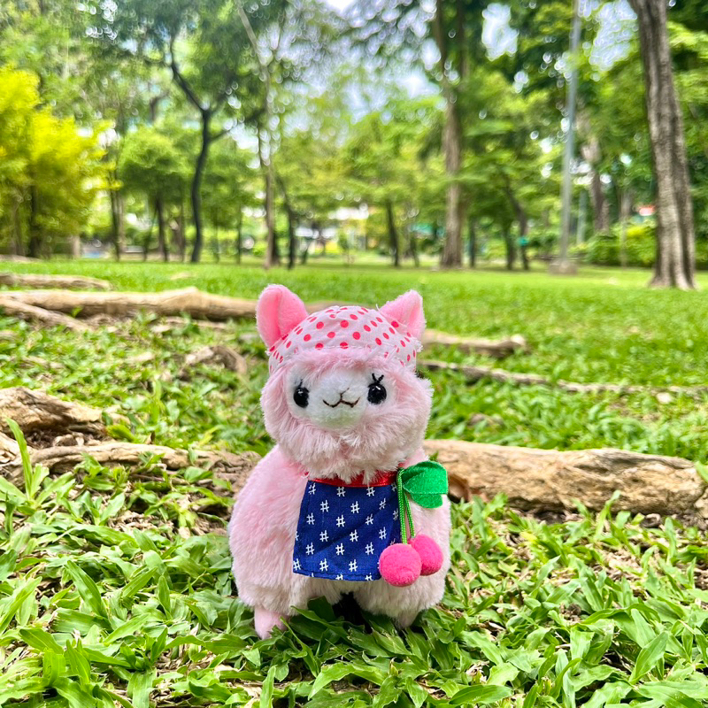 ตุ๊กตาอัลปาก้า Alpaca Amuse Alpacasso Amuse Plush Doll อัลปาก้า สีชมพู ...