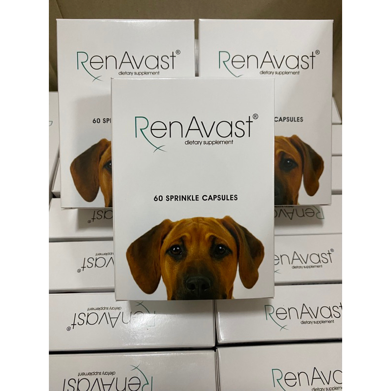 Renavast Dog EXP 03/2025 ผลิตภัณฑ์เสริมอาหารสำหรับสุนัขที่มีปัญหาโรคไต ...