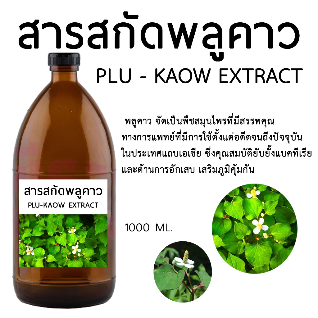 สารสกัดพลูคาว Plukaow Extract 1000 ML. | Shopee Thailand
