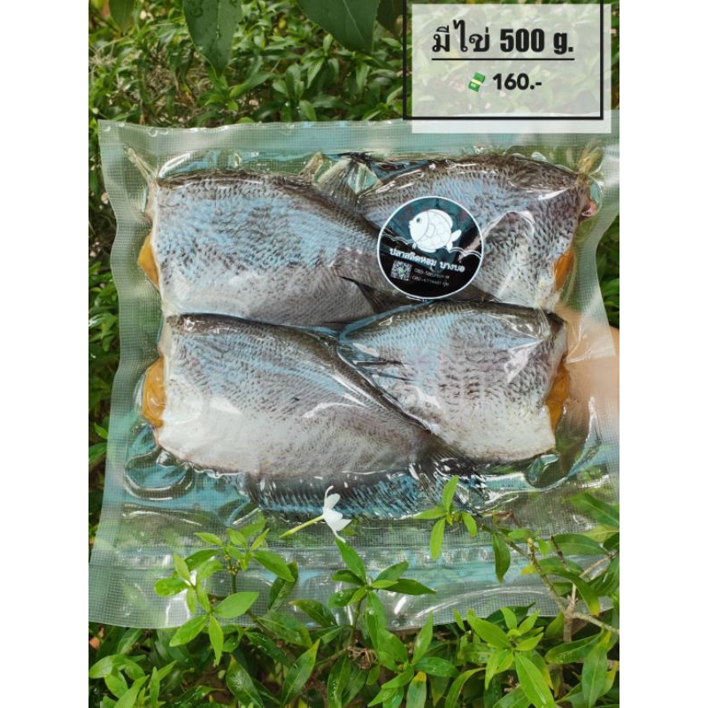 ปลาสลิดแดดเดียวบางบ่อแท้ (มีไข่) 500g. | Shopee Thailand