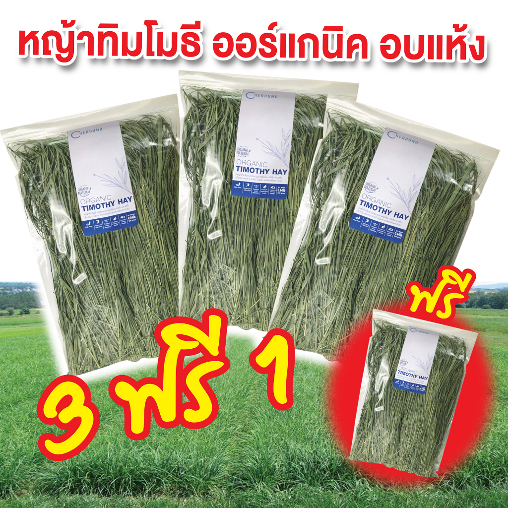 หญ้าทิมโมธี ยอดอ่อน ออร์แกนิค อบแห้ง Soft Timothy Hay Organic (200g ...