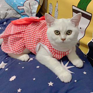 Cat Puppy Princess Dress Summer Pet Clothes Striped Plaid Dresses with ...