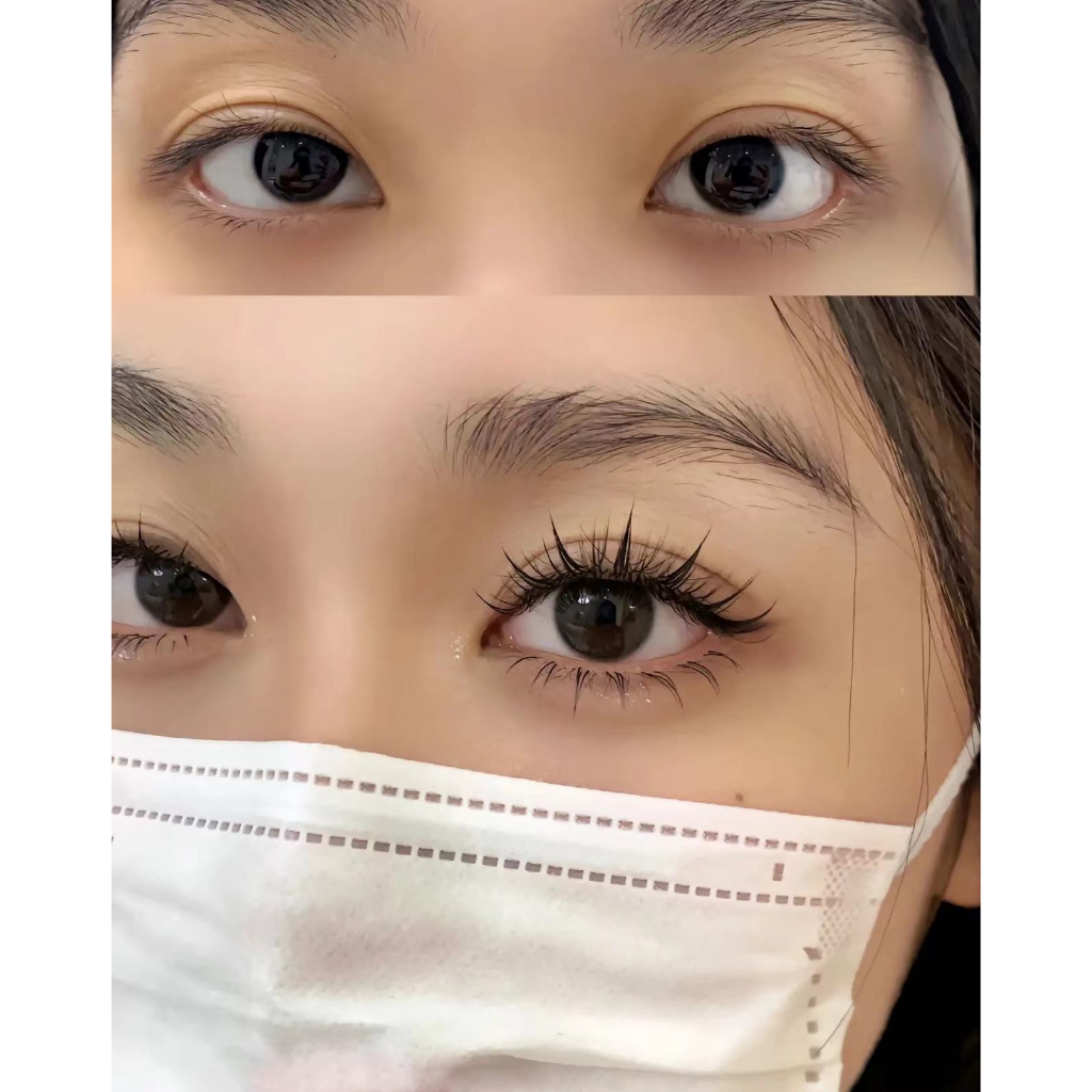 ISABELLA พร้อมส่ง ขนตาปลอมแบบเซท แบบช่อขนตา นิ่ม ขนตาธรรมชาติ ขนตาปลอม ...