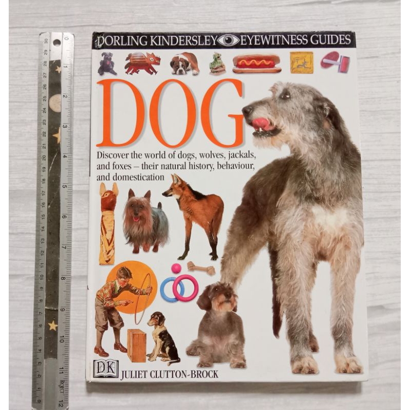 หนังสือภาษาอังกฤษ Eyewitness Guides DOG ความรู้ทั่วไป ภาษาอังกฤษ สุนัข ...