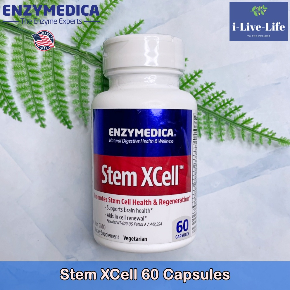 Enzymedica - Stem XCell 60 Capsules อาหารเสริม สเต็มเซลล์ สร้างเซลล์ ...