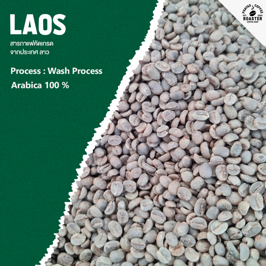 สารกาแฟ Laos Bolaven Washed Process อาราบิก้า 100% | Shopee Thailand