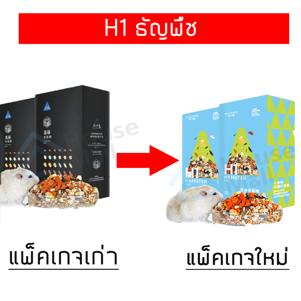 อาหารหนูแฮมสเตอร์ Hammer Food แฮมสเตอร์ แฟตเทล ไจแอ้น แคระ Bucatstate ...
