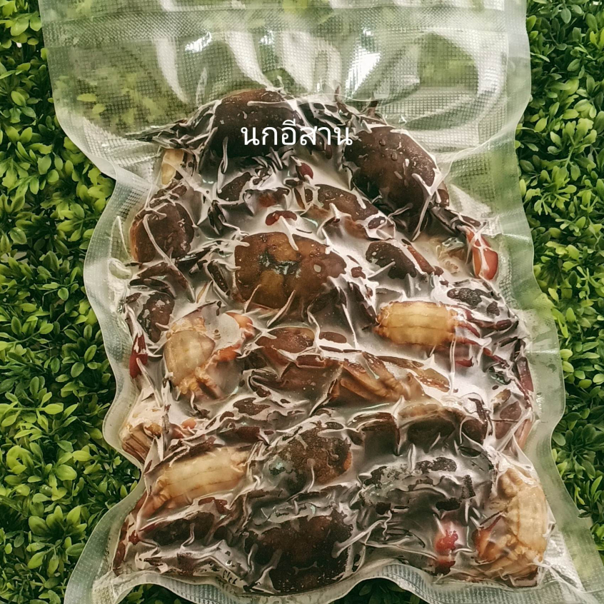 ปูนาดองเค็มใส่ส้มตำ ขนาดใหญ่ขึ้น 500g | Shopee Thailand