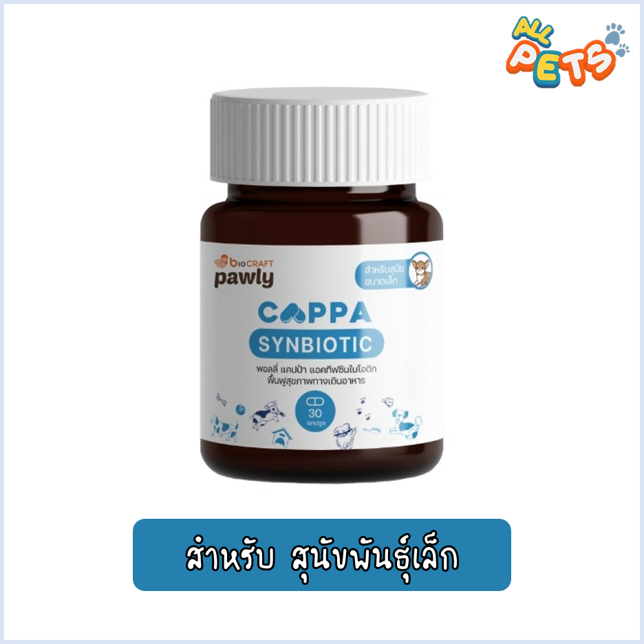 Pawly Cappa Synbiotic พอลลี่ แคปป้า แอคทีพชินไบโอติก 1 กระปุก (30เม็ด) | Shopee Thailand