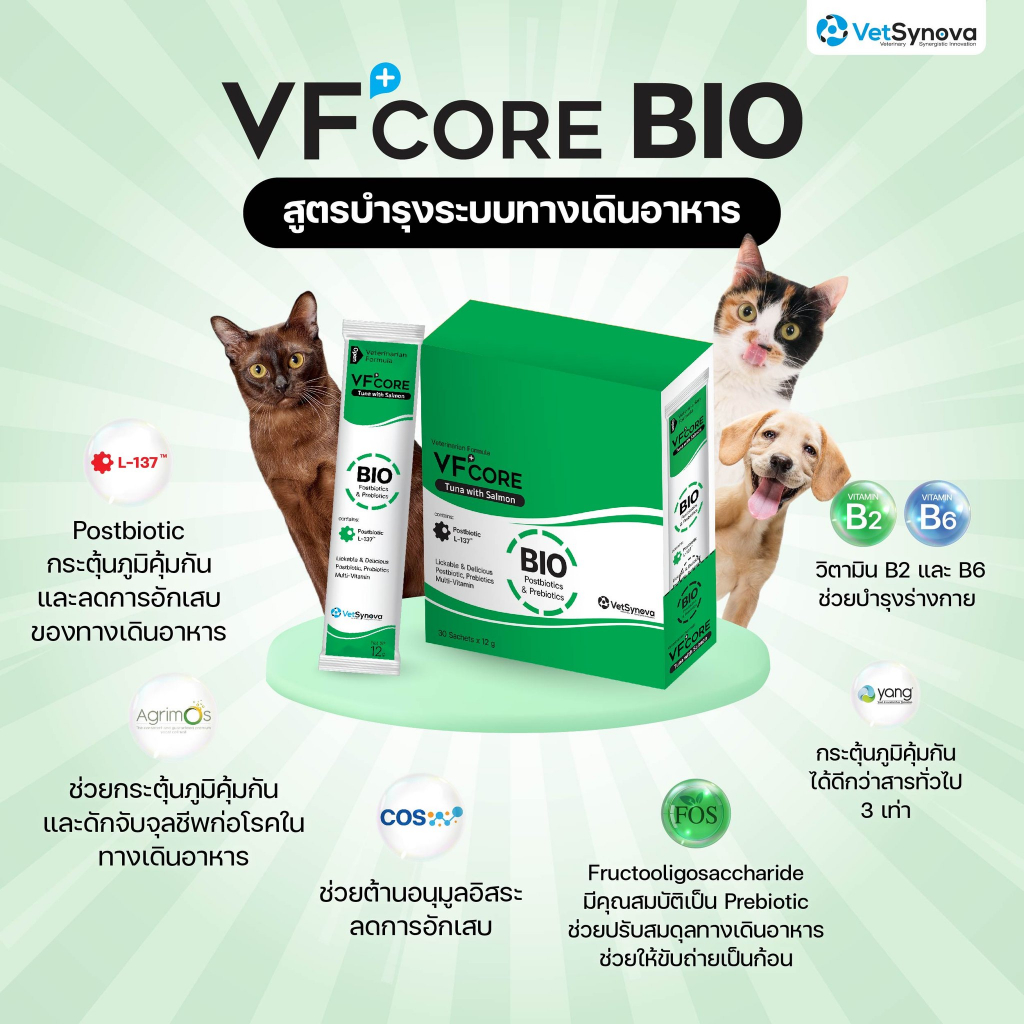 [30 ซอง] VFcore แมวเลีย วิตามินแมว อาหารเสริม ไลซีน วิตามินรวม | Shopee Thailand