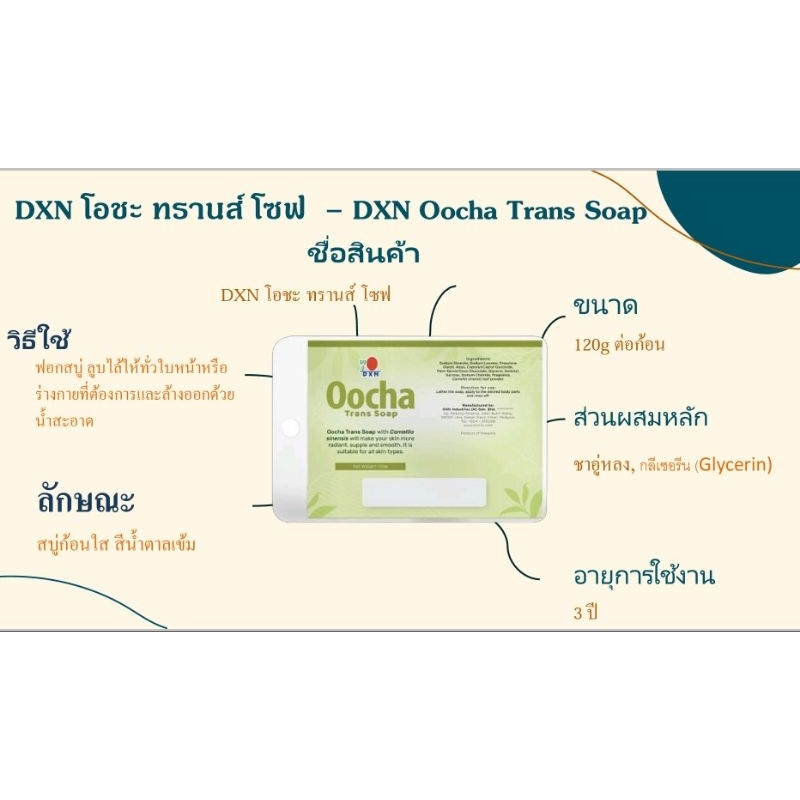 สบู่ DXN Ganozhi Trans Soap กาโนชิ ทรานส์ โซฟ สบู่เห็ดหลินจือ / DXN ...