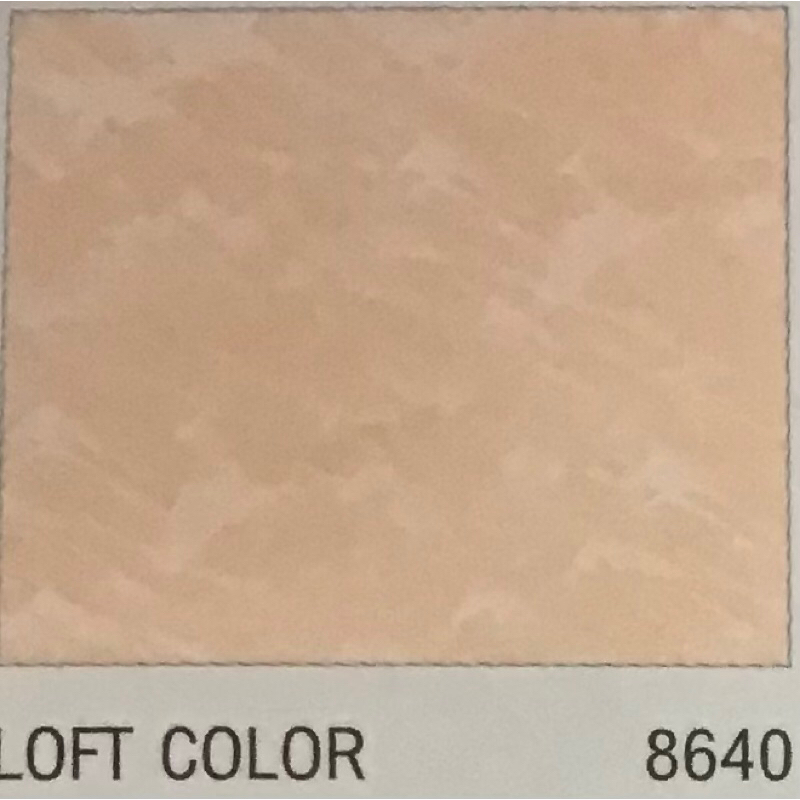 TOA Loft Color ลอฟท์ โทนสีสวย สูตรน้ำ ปลอดภัย ไร้กลิ่นฉุด ทำความสะอาด ...