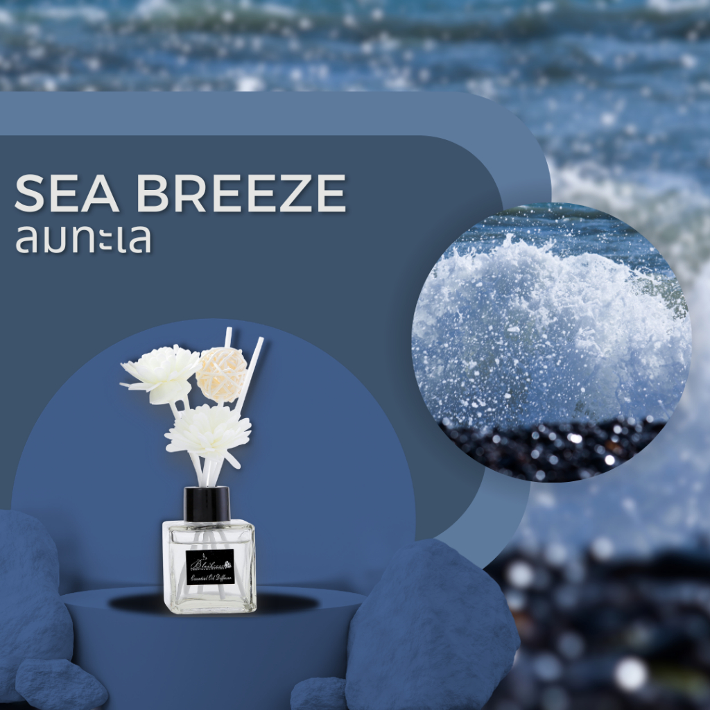 Sea Breeze Luxury Aroma Reed Diffuser 50ml ก้านน้ำหอมอโรม่าอย่างดี ...