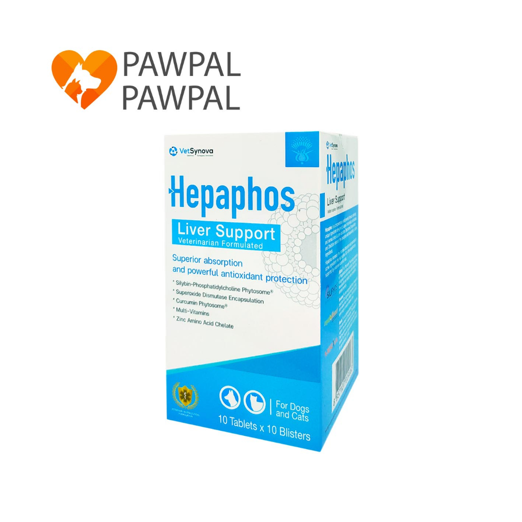 Hepaphos Liver Support เฮปพาฟอส วิตามิน บำรุงตับ สุนัข แมว | Shopee ...