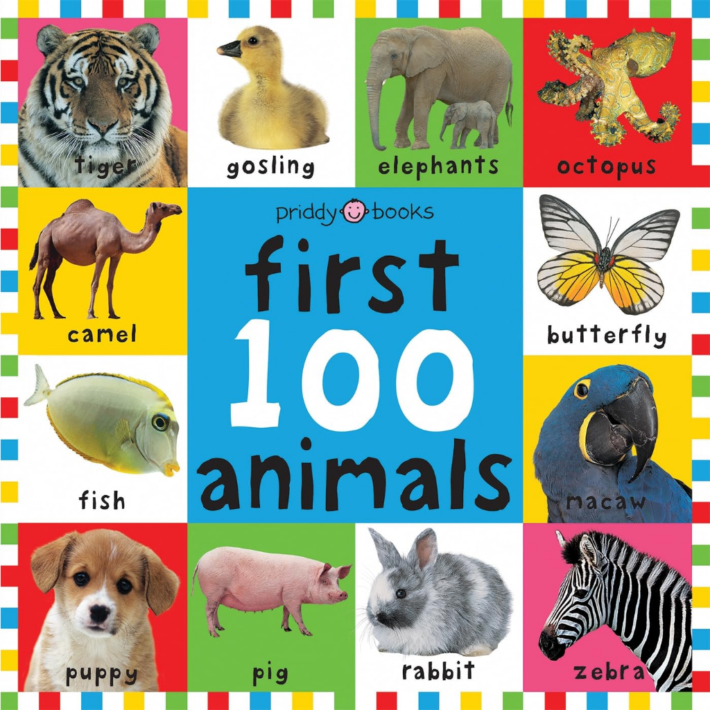 First 100 Animals หนังสือเด็ก คำศัพท์ สัตว์ ภาษาอังกฤษ บอร์ดบุ๊ค Board ...