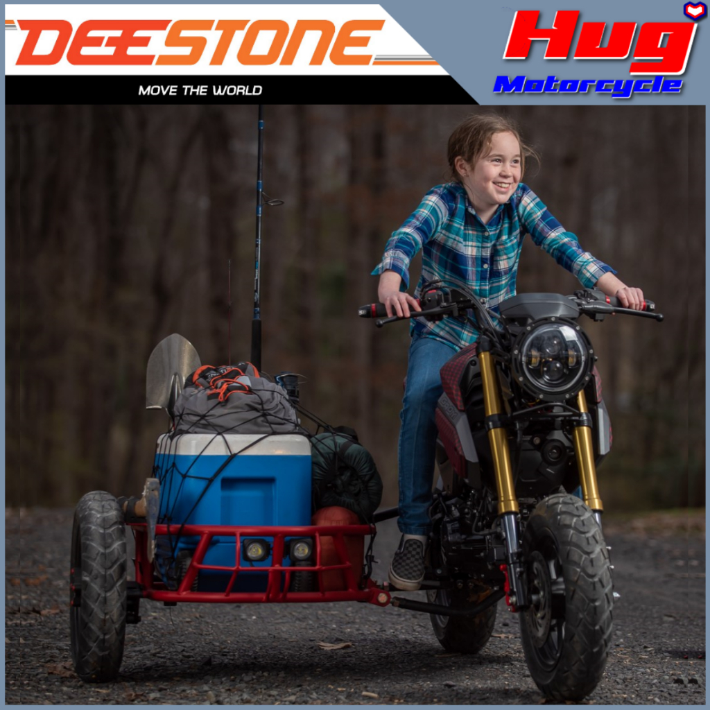ยางนอก รถมอเตอร์ไซค์ ดีสโตน DEESTONE D809 ลายหลังเต่า ขอบ10",12" ยางเรเดียล Tubeless TL | Shopee ...