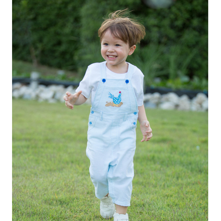 Striped chicken overalls | Shopee Thailand