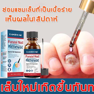 lanthome ราคาพิเศษ | ซื้อออนไลน์ที่ Shopee ส่งฟรี*ทั่วไทย!