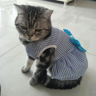 Cat Puppy Princess Dress Summer Pet Clothes Striped Plaid Dresses with ...