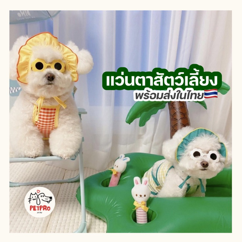 PETPRO • แว่นตาสัตว์เลี้ยง รูปดอกเดซี่ แว่นตากันแดดสัตว์เลี้ยง | Shopee Thailand