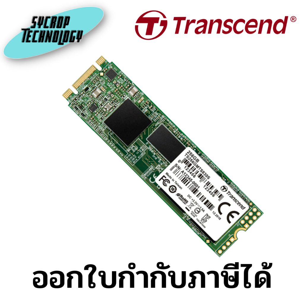 การ์ดเอสเอสดี Transcend SSD M.2 2280 256GB R560MB/s W520MB/s SATA III ...