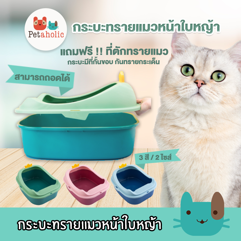 Petaholic กระบะทรายแมว หน้าใบหญ้า (TB055) ฟรี!! ที่ตักทราย ห้องน้ำแมว Cat Litter Box | Shopee ...