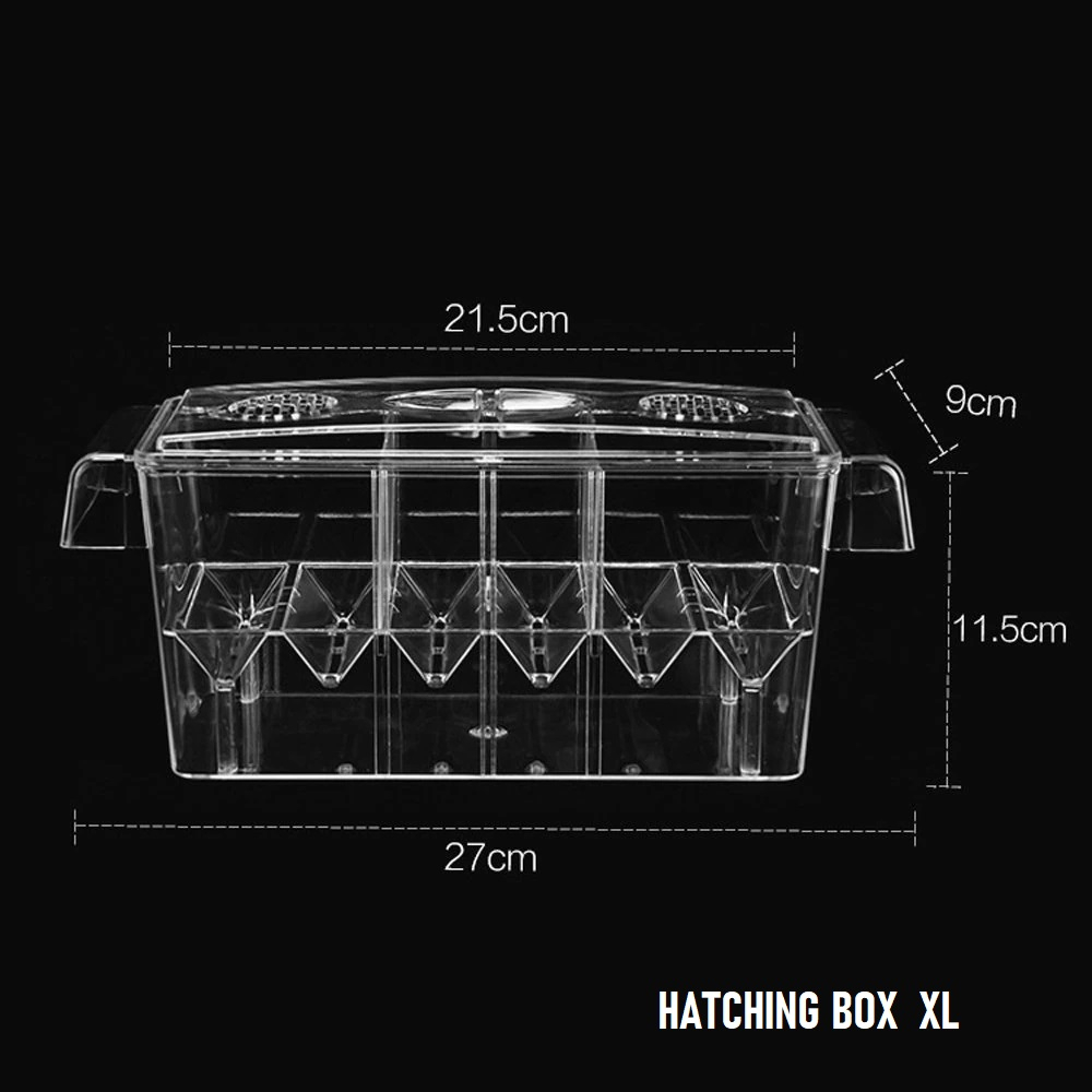 MULTI FUNCTINAL FISH HATCHING BOX(กล่องแยกปลา กล่องฟักปลา ผสมพันธุ์ปลา ...