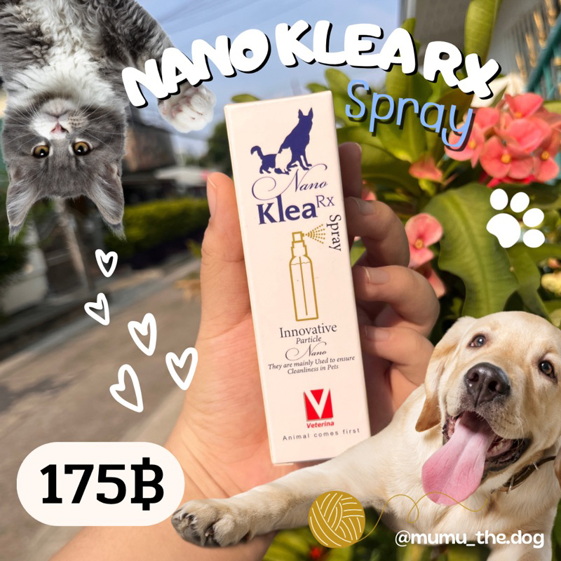 Nano Klea Rx Spray 50ml ช่วยแผลแห้ง | Shopee Thailand