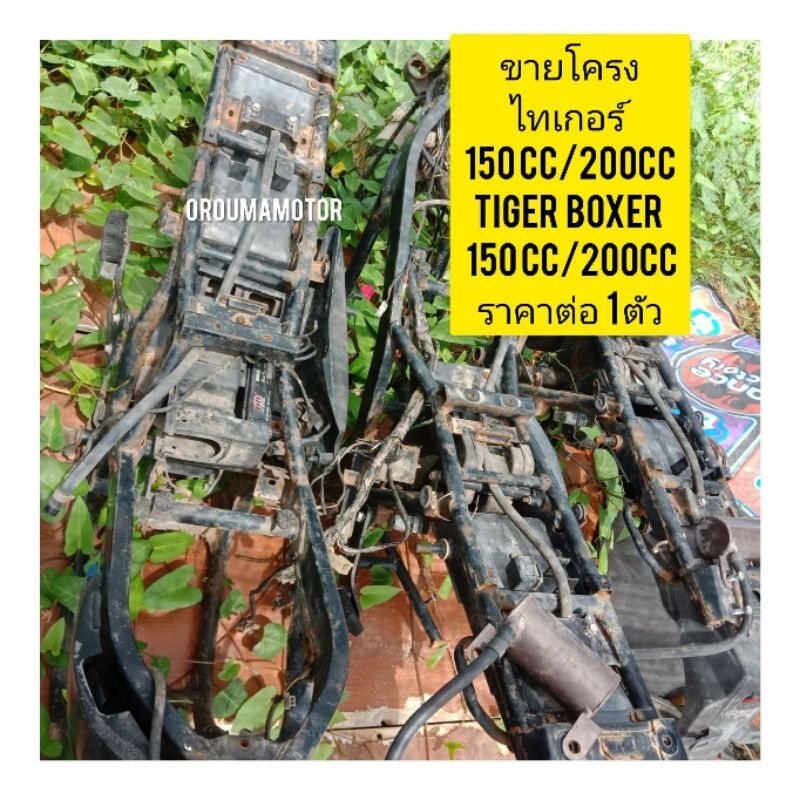 ขายโครง มอไซค์ Tiger Boxer 150cc ,200cc ไทเกอร์ สีน้ำตาล ราคา ต่อ 1 ...