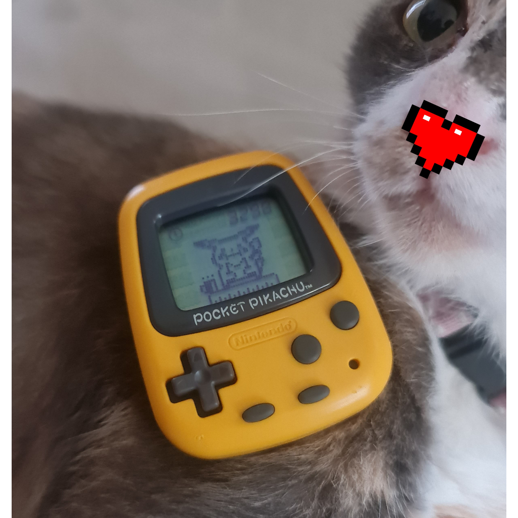 [SELL] Official Nintendo Pocket Pikachu Digital Pet (JP)(USED) สัตว์ ...