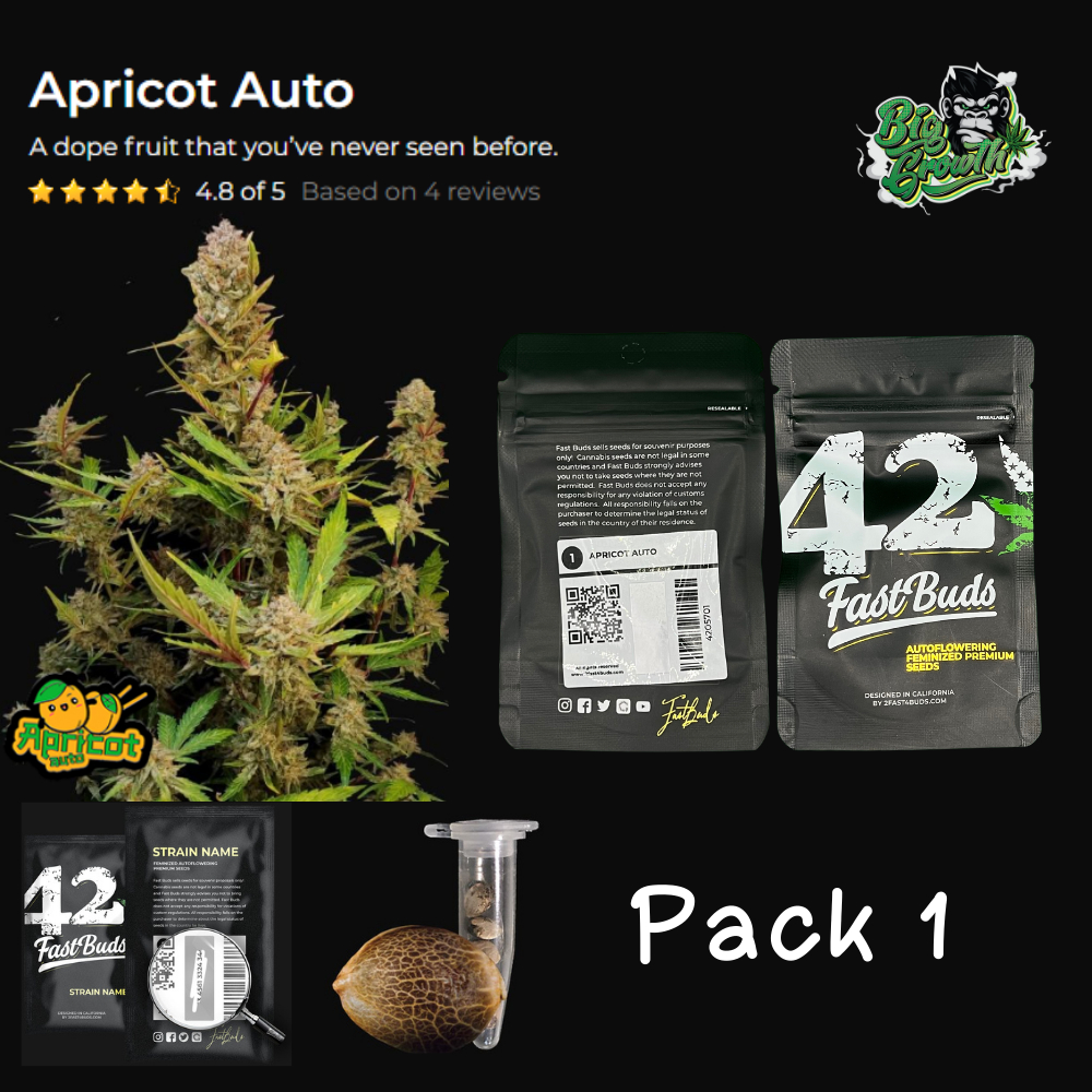 เมล็ดกัญชา Apricot Auto - Fastbuds แพ็ค1เมล็ด | Shopee Thailand