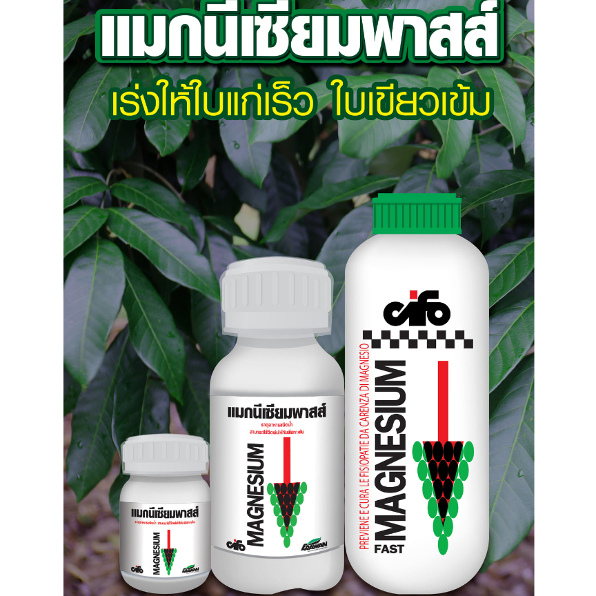 แมกนีเซียมพาสส์ (Mg-Fast) แม็กนีเซี่ยม ชนิดเข้มข้นดูดซึมเร็ว เร่งใบอ่อน ...