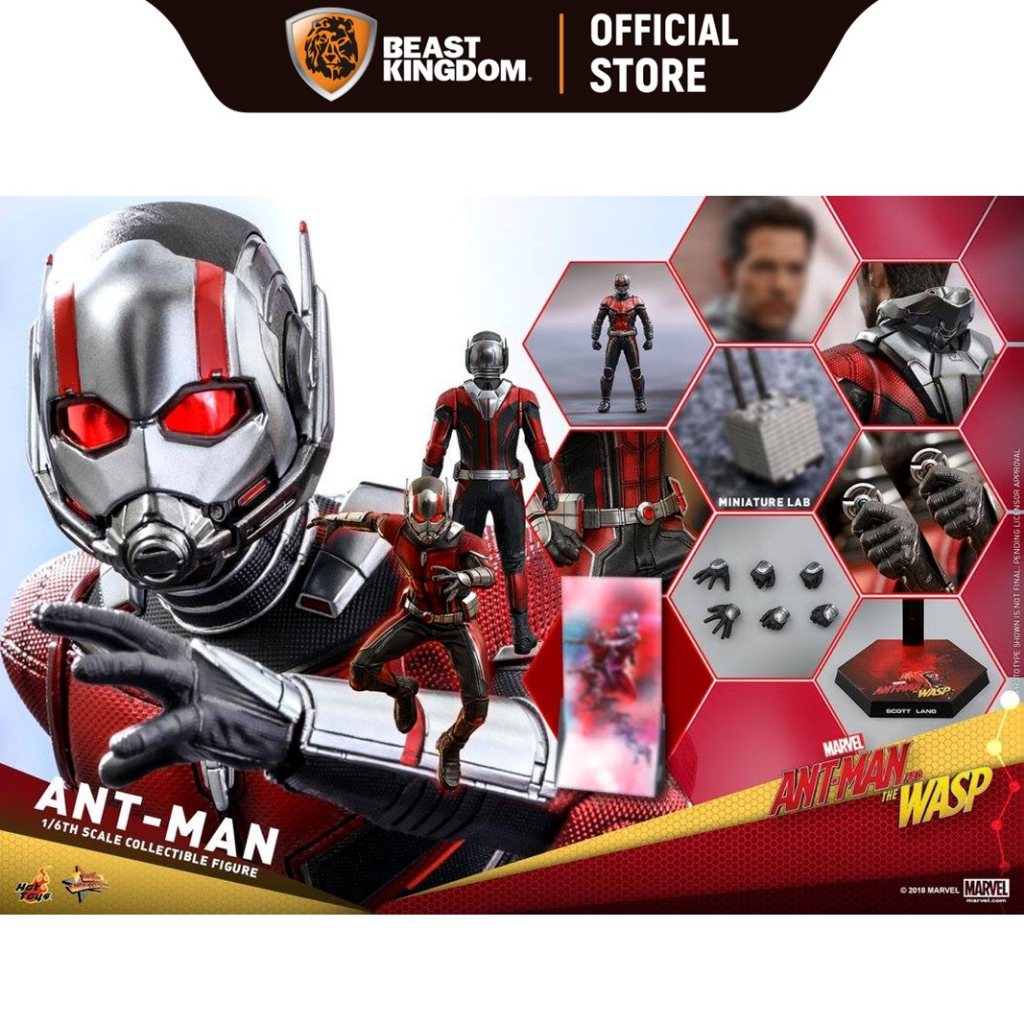 Hot Toys MMS497 Ant Man: Ant Man and The Wasp 1/6 Scale | Shopee Thailand