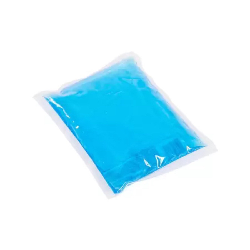 Ice Pack Gel เจลเก็บความเย็น ขนาด 800g. 30ซม.*22.5ซม. (มือสอง) | Shopee ...
