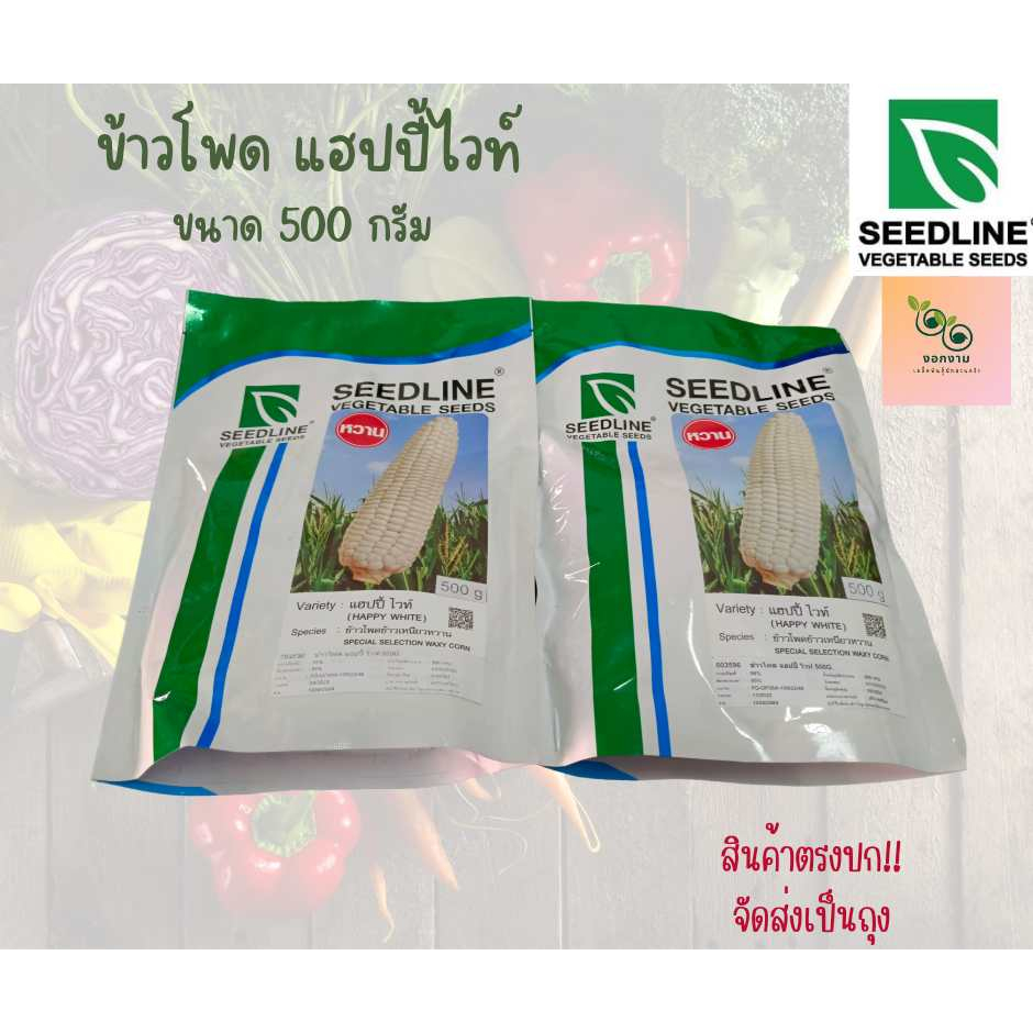 เมล็ดข้าวโพดข้าวเหนียว แฮปปี้ไวท์ seedline 500 กรัม ขายปลีก-ส่ง ราคาถูก ...
