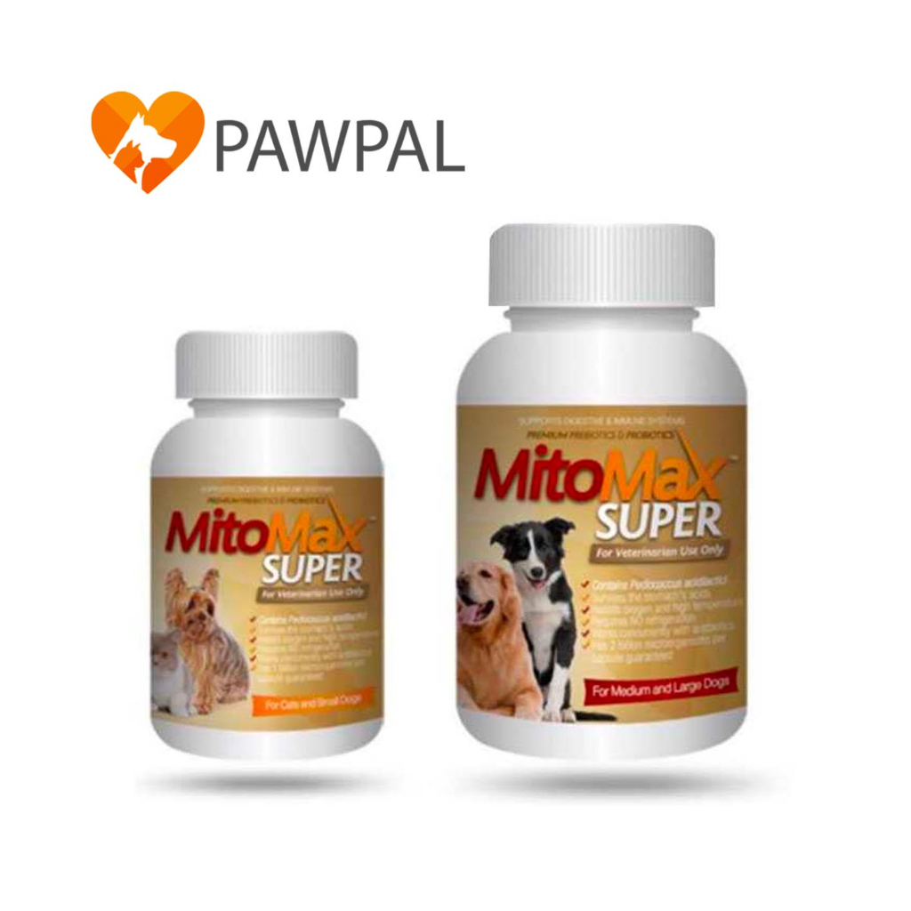 Mitomax Super Small Medium Exp. 2026 Probiotic Prebiotic โปรไบโอติก ...