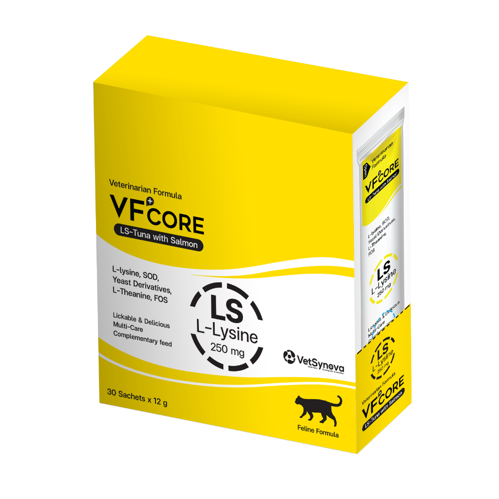 แบ่งขาย 10 ซอง VFcore อาหารเสริมไลซีน บำรุงเลือด บำรุงข้อ เสริมวิตามิน ในรูปแบบขนมแมวเลีย ...