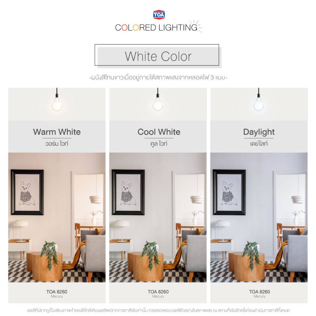 TOA 8260 Mercury ทุกรุ่น สีทาบ้าน ขนาด 9 ลิตร สีทาภายใน สีทาภายนอก สี ...