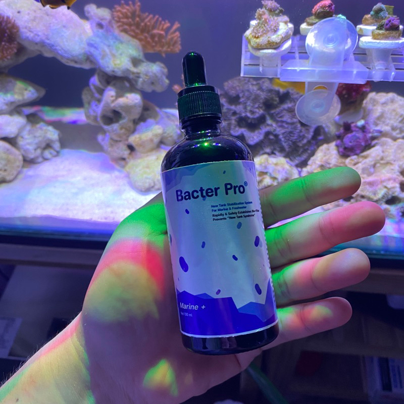 MARINE PLUS BACTER PRO 10 ml.(ขนาดทดลอง/ขวดแบ่ง) เพิ่มแบคทีเรีย/ลด No2 | Shopee Thailand