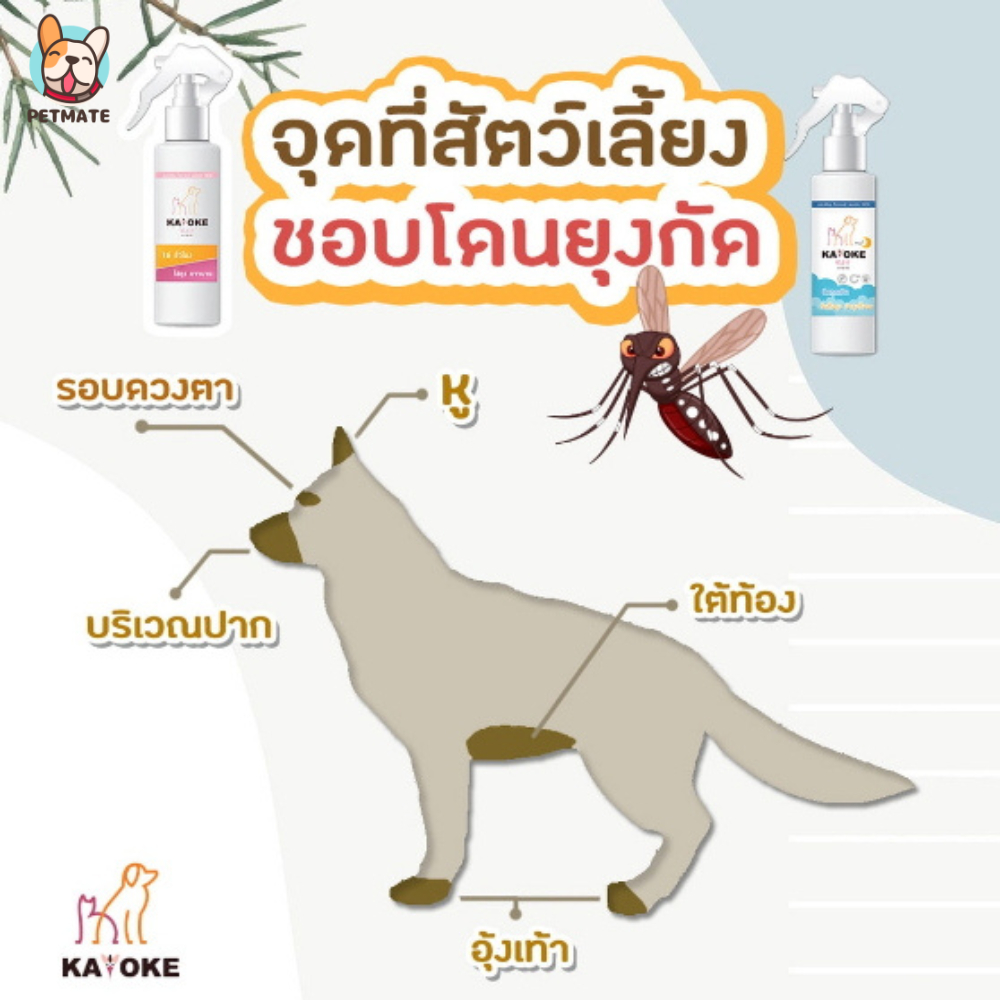 Kayoke Plus สเปรย์กันยุง สูตรใหม่เพิ่มบำรุงขน กันยุงนาน16ชั่วโมง สาร ...