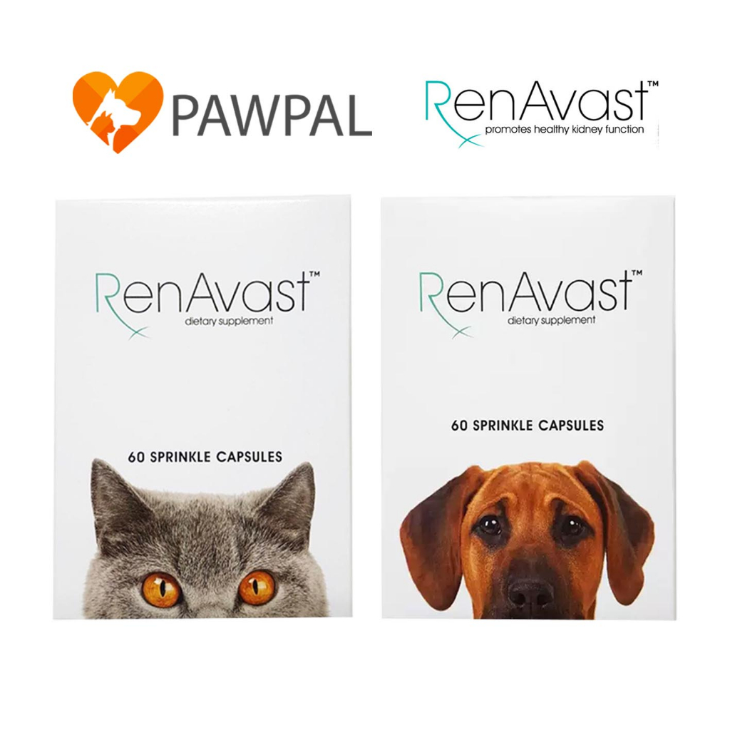 RenAvast เรนอะวาสท์ dog cat 🔥ล็อตใหม่ อาหารเสริมโปรตีน บำรุงไต สุนัข ...