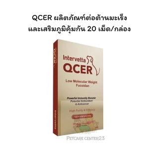 qcer ราคาพิเศษ | ซื้อออนไลน์ที่ Shopee ส่งฟรี*ทั่วไทย!
